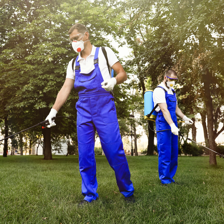 The Importance of Lawn Insect Control for a Healthy Yard